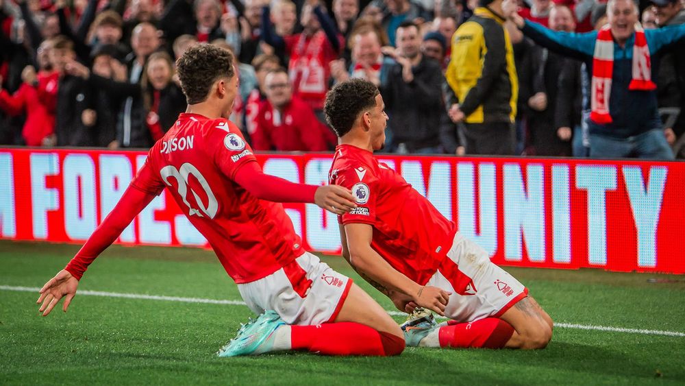 Nottingham Forest FC - Gallery: Forest victorious against Palace